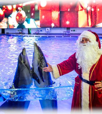 Delfinariumas | muziejus.lt